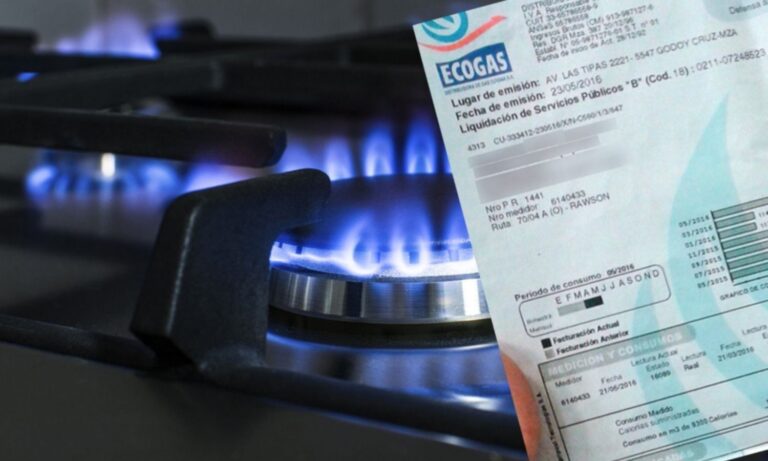 PAGO EN LÍNEA Y REVISIÓN DE RECIBO DE ECOGAS